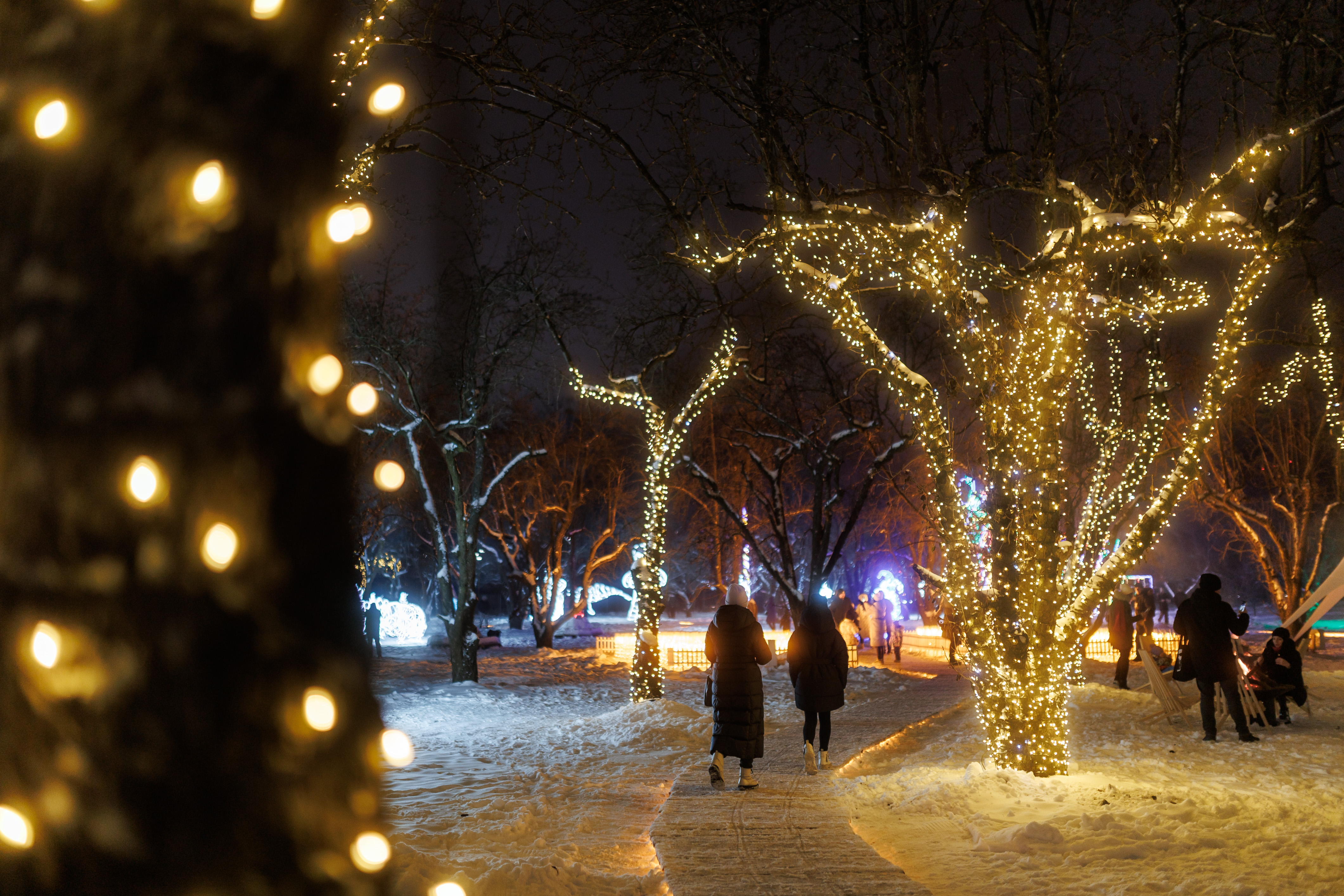 На ВДНГ у Києві 29 листопада запрацює ILLUMINARIUM зі світловими інсталяціями. Читайте на UKR.NET